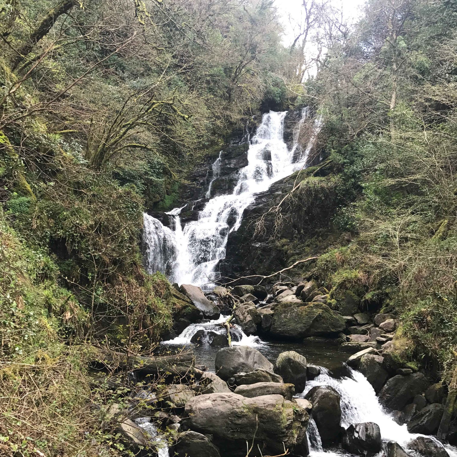 The Muckross Lake Loop - OnTheQT